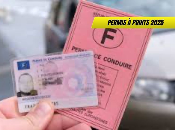 Permis à Points 2025 : Guide Complet des Infractions et Retraits de ...